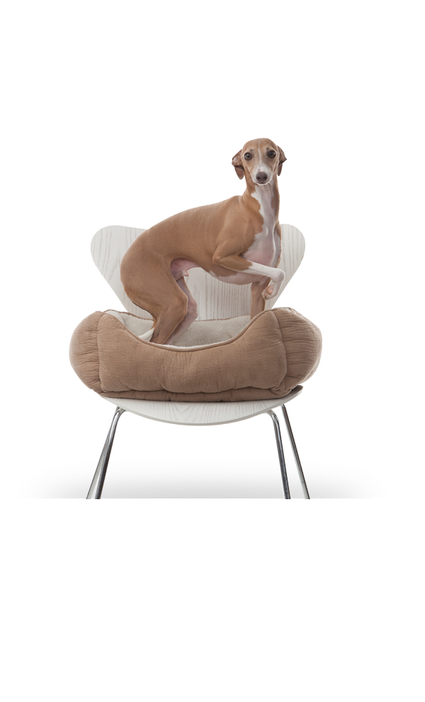 Pepperwinkle - Wink, Inc.